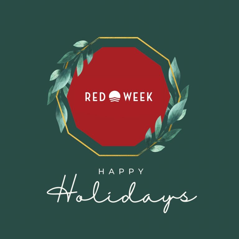 Travel Tips to Have a Merry Christmas and a Hygienic New Year | RedWeek