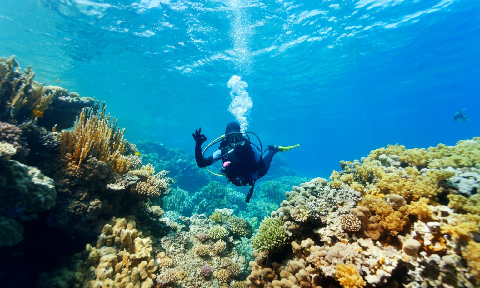 Scuba & Snorkeling Vacations | Vacation Rentals By Owner | RedWeek