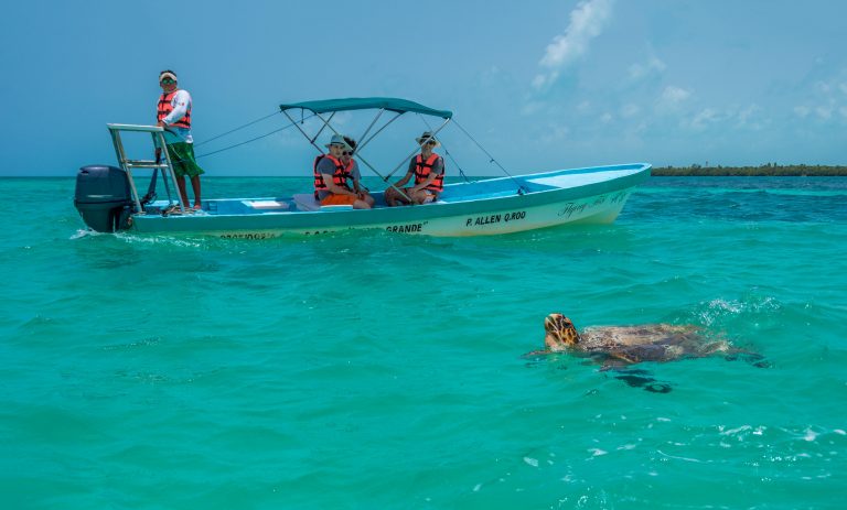 5 Mexican Beaches You Have To Visit Mexico beaches | RedWeek