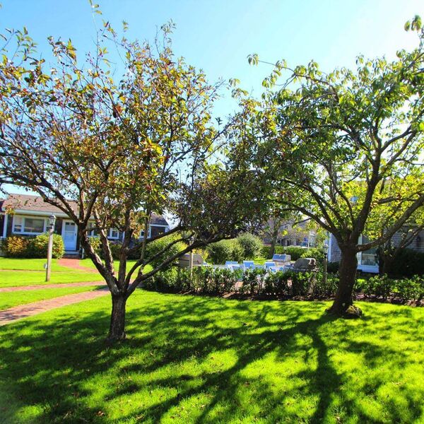 Brant Point Courtyard | RedWeek