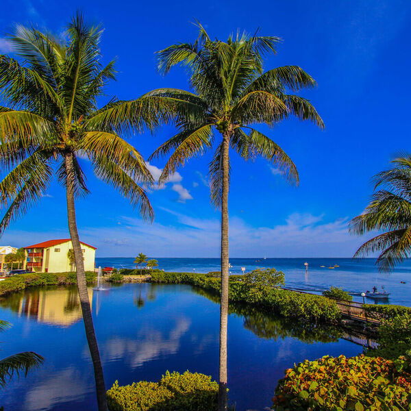 Florida Bay Club | RedWeek