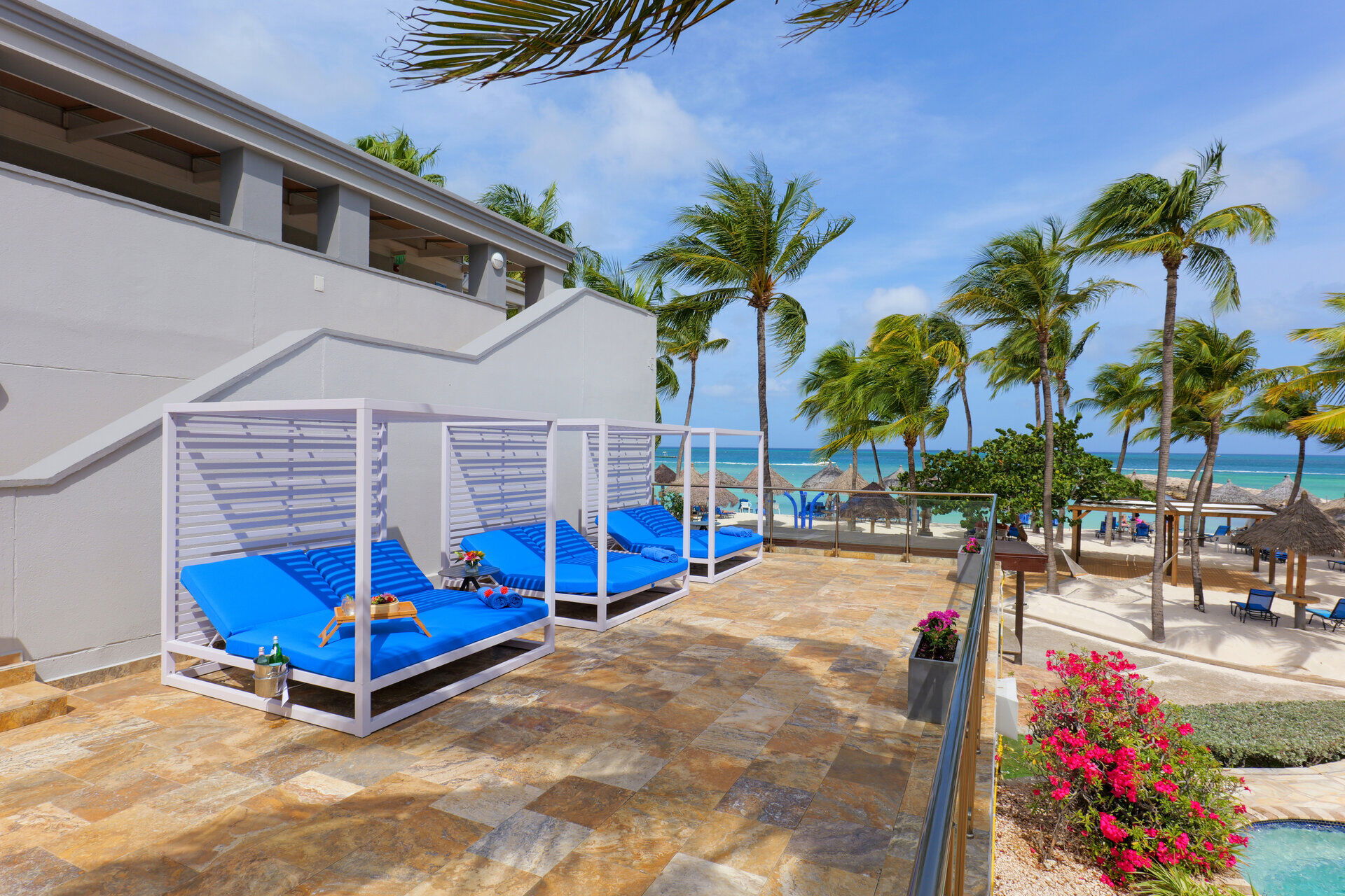 Divi Aruba Phoenix Beach Resort | RedWeek